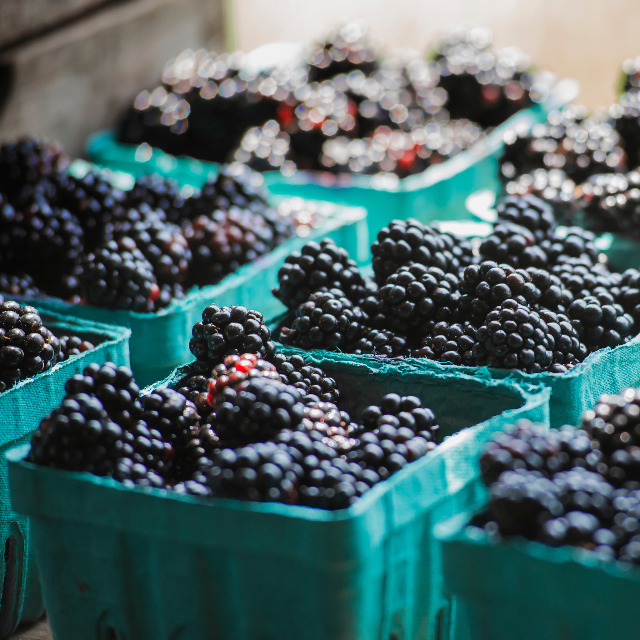 Seasonal Celebrations and Family Fun at Roberts Family Farm in Guston, KY